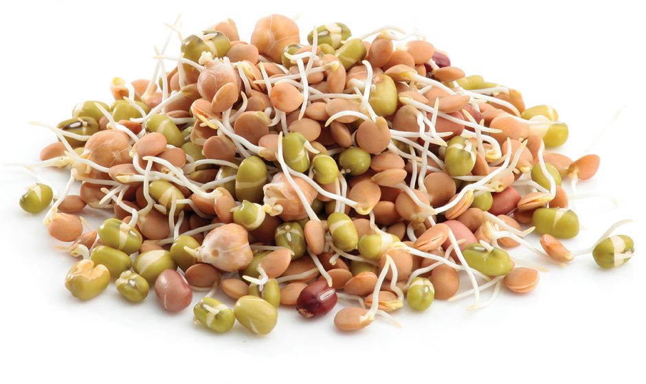 dipdiet - Dr. Biswaroop Roy Chowdhury