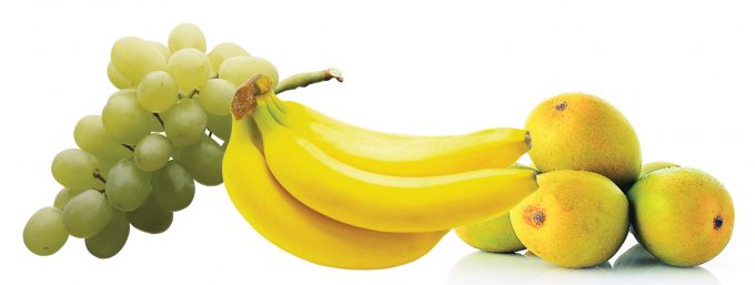 dipdiet - Dr. Biswaroop Roy Chowdhury